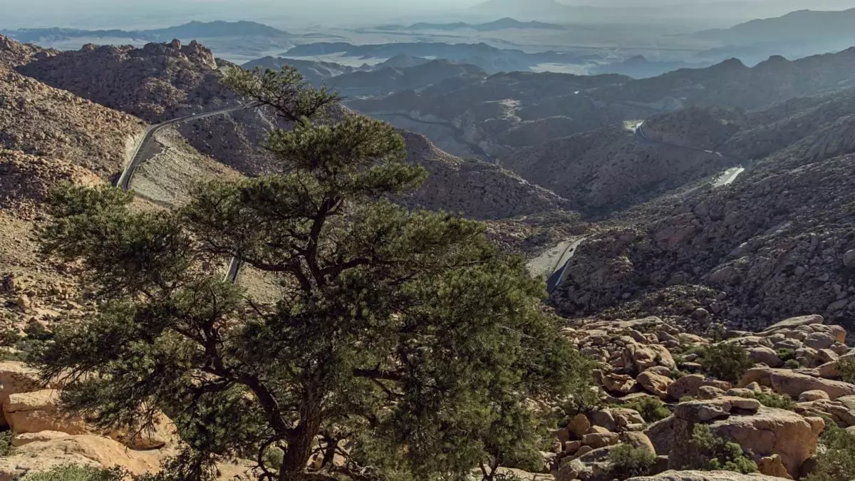 1_Tecate_Rumorosa_route_beer_portada_EE