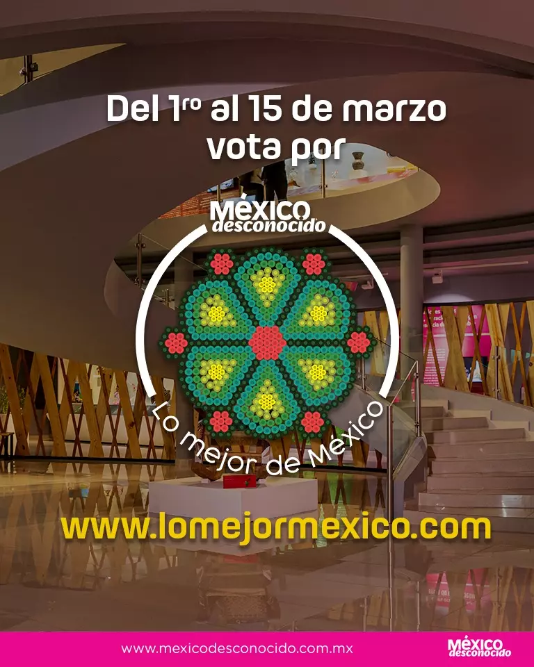 Лучшие из Мексики продолжаются и будут награждены в сентябре 24512_2