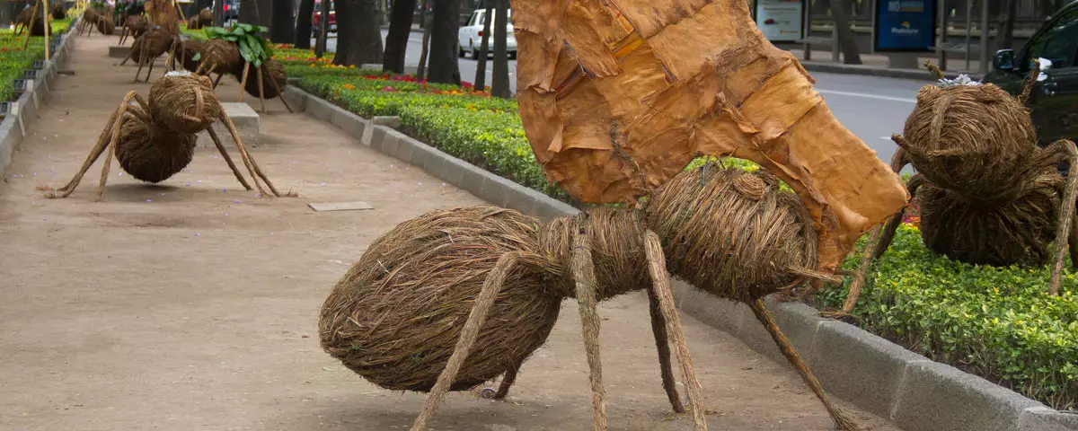 Paseo de la Reforma fifu-da ullakan garynjalaryň parady bilen tanyşyň