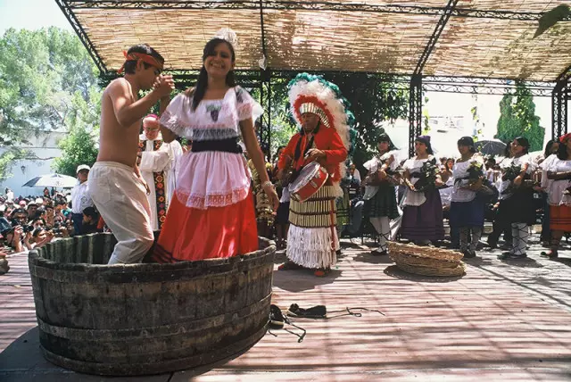 Panén Vine di Coahuila, tradisi hébat 24676_5