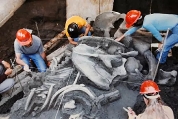 Tılsım metro istasyonunda bulunan mamutun kalıntıları 24721_4