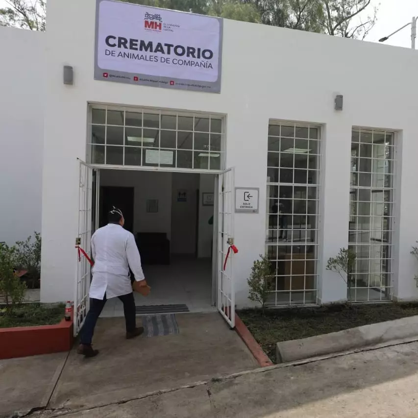 He avaavat Xoloitzcuintlen, lemmikkieläinten krematorion CDMX:ssä 24757_2