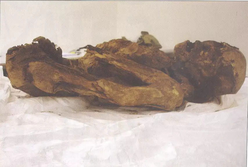 mummy Toltec, hiji-hijina mummy tattooed kapanggih di Mexico nu dibawa kaluar ti nagara teu balik 24798_2