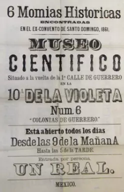 mummy Toltec, hiji-hijina mummy tattooed kapanggih di Mexico nu dibawa kaluar ti nagara teu balik 24798_5