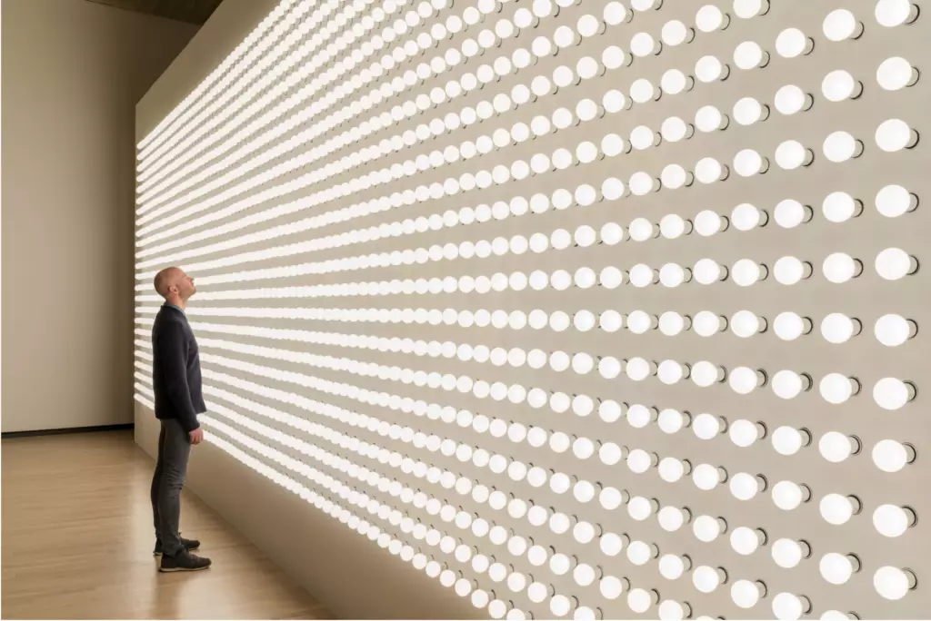 Sie haben noch Zeit, die Carsten Höller-Ausstellung im Museo Tamayo zu besuchen 24880_6