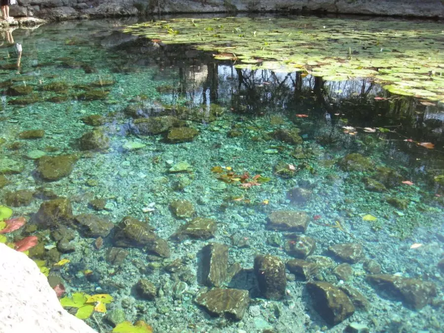 5 Cenotes Yucatanban: Fedezze fel a Mayab földalatti folyóit 2497_9