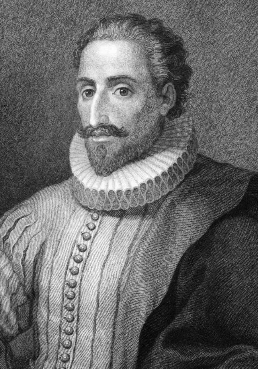 Do you know who Miguel de Cervantes Saavedra was? 25063_2