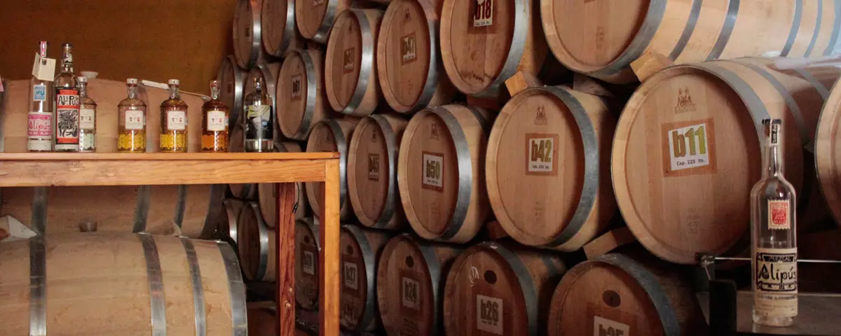 10 choses que nous avons apprises sur le mezcal à la distillerie de Los Danzantes fifu