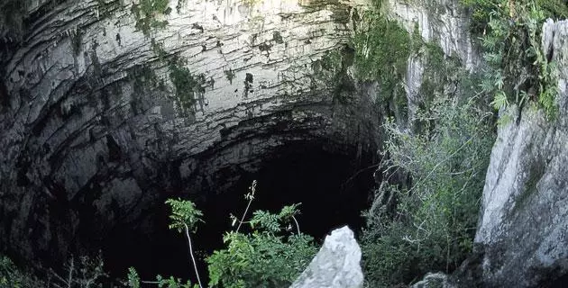 Golondrinas fifu-a gaýdyp geliň