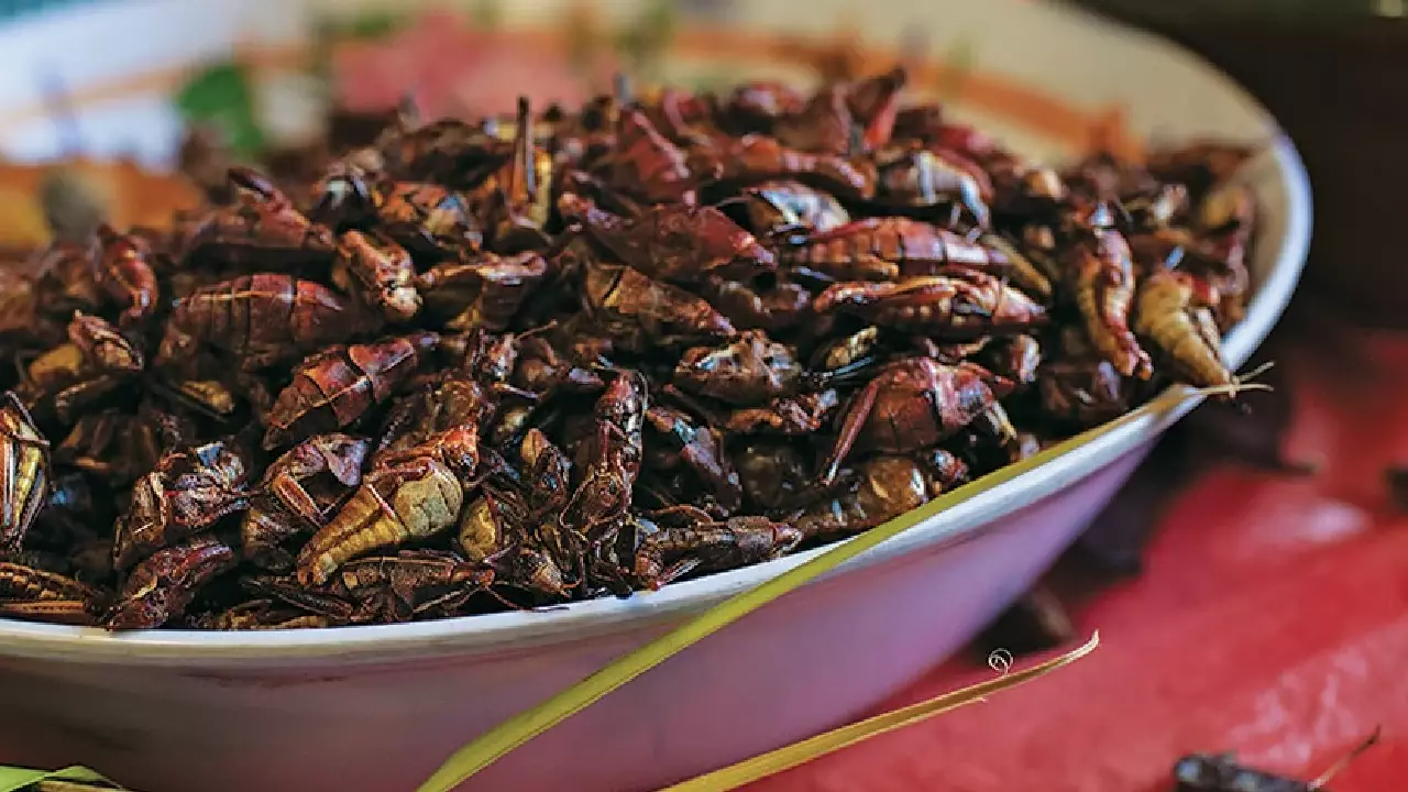 chapulines-mexico-gastronomy