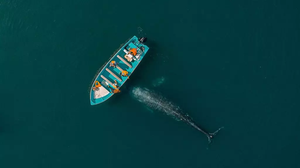 José Ruiz, pemenang Cabaran Foto Mexico 2018 27319_2