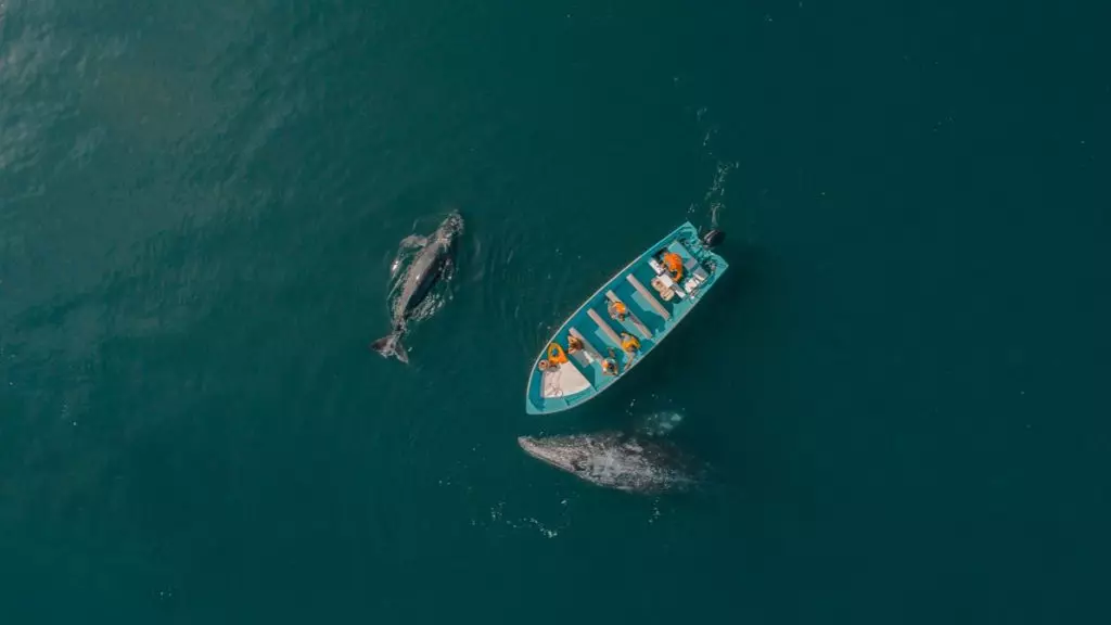 José Ruiz, pemenang Cabaran Foto Mexico 2018 27319_6