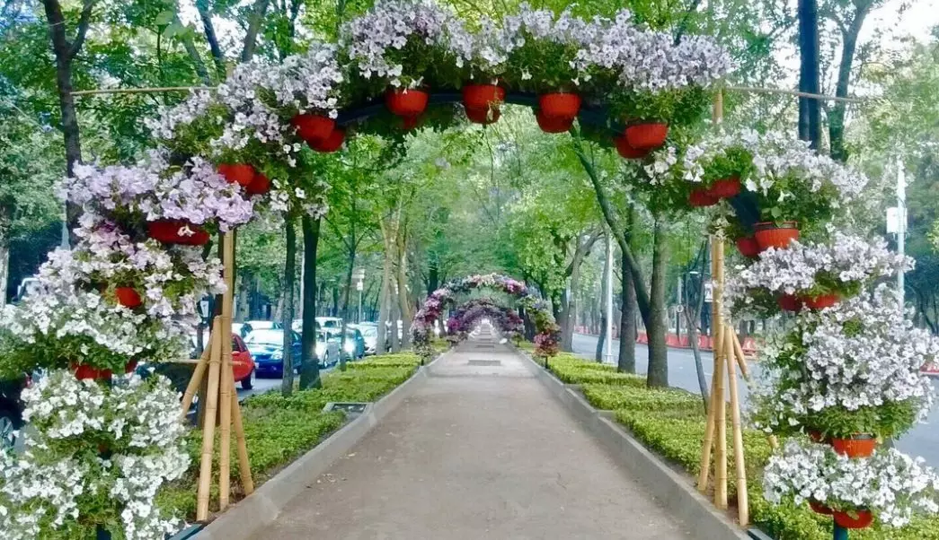 festival-bunga-taman-meksiko