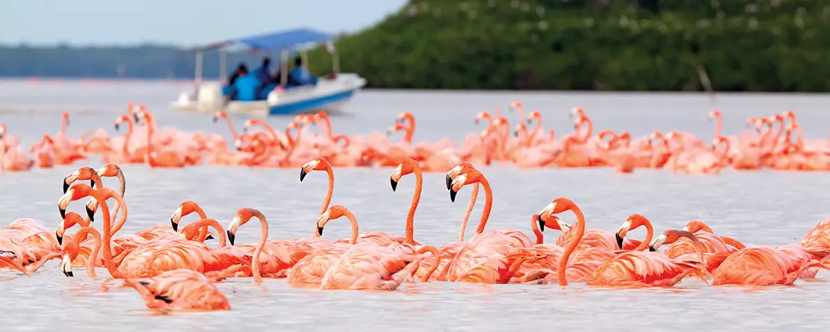 10 gagasan pikeun ngarambat ngaliwatan Mexico salaku pasangan