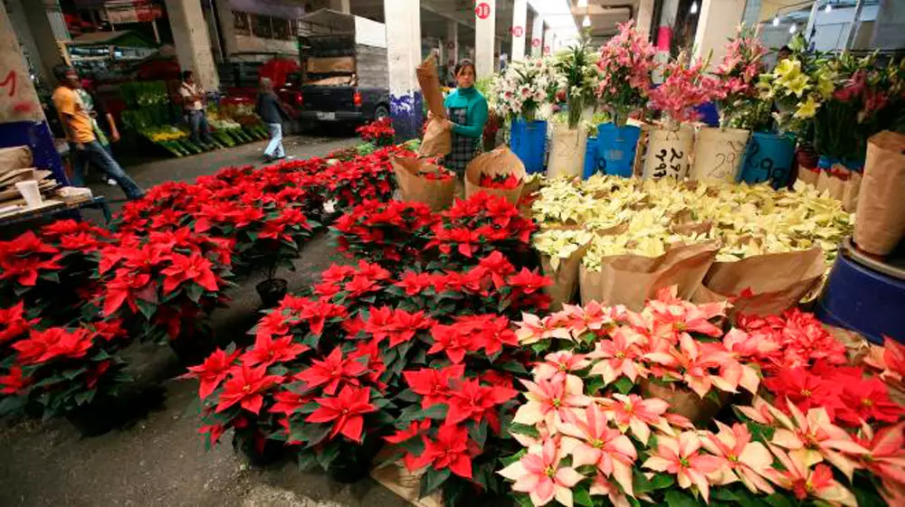 Mexico City Markets