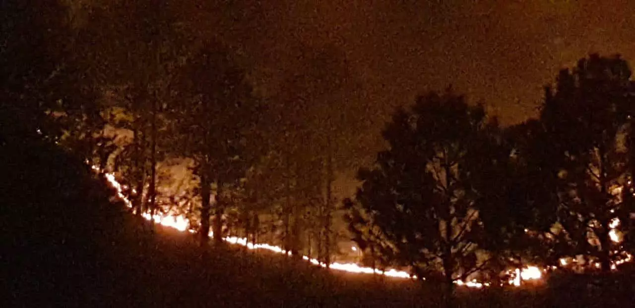 Incendi a Arteaga, Coahuila