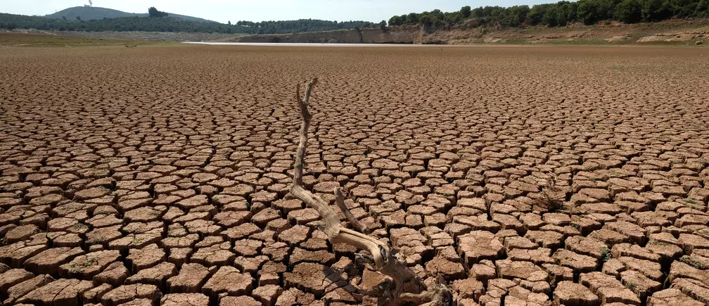 Drought-Image-REUTERSHeino-Kalis-