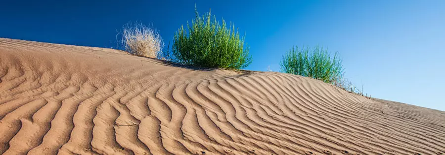 ビエスカのビルバオの砂丘