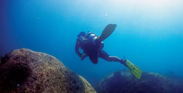 Menyelam di terumbu Cabo Pulmo, Baja California Sur fifu