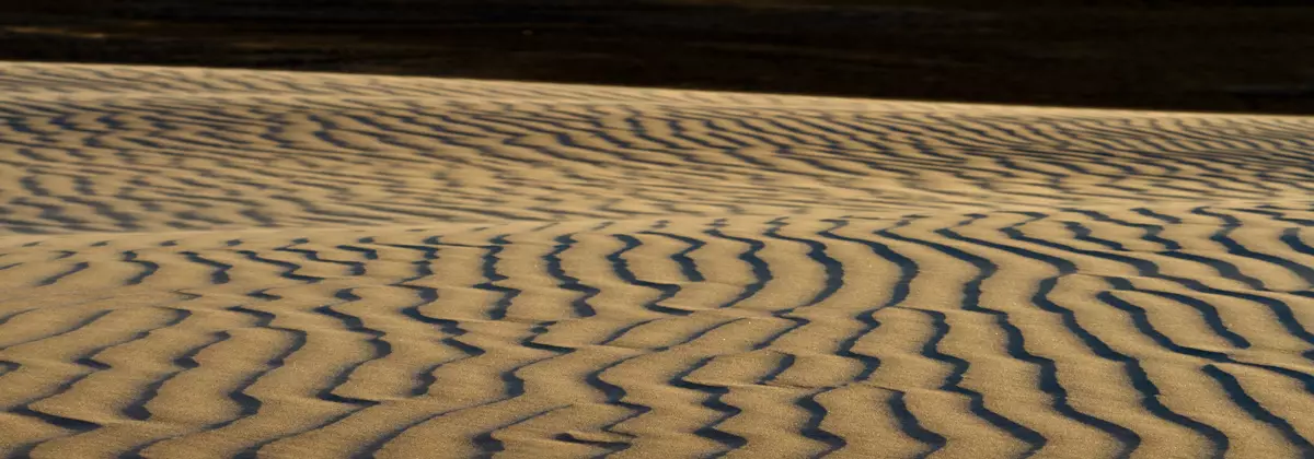 Sanddynelandskap i Mexico: hav av sand som overrasker fifu