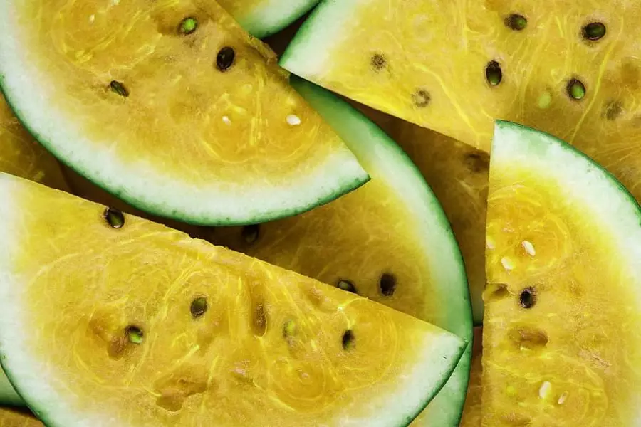 Gul vannmelon eller melonvannmelon, en lite kjent frukt 31172_3