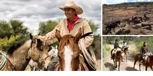 ILagos de Moreno, ingxenye yeCamino de Tierra Adentro 3144_2