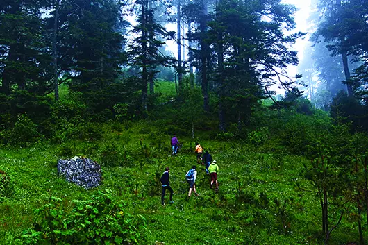 Lūk, kā izskriet cauri Sierra de Oaxaca 32356_2