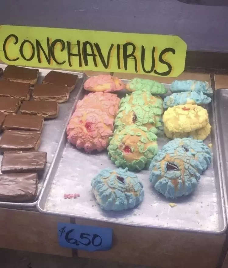 Conchavirus, ເຂົ້າຈີ່ທີ່ສະແດງເຖິງຄວາມສະຫລາດຂອງເມັກຊິໂກ 32813_2