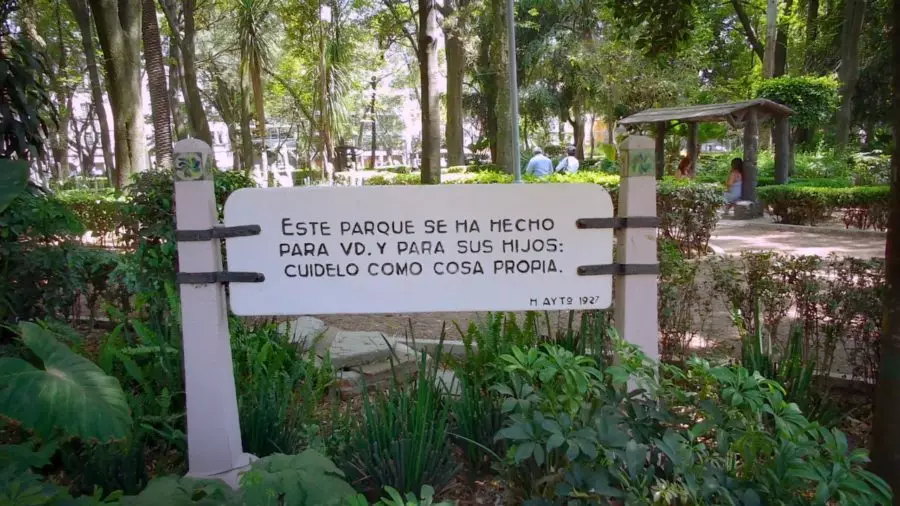 Ali že poznate Audioramo Parque México? 3321_6