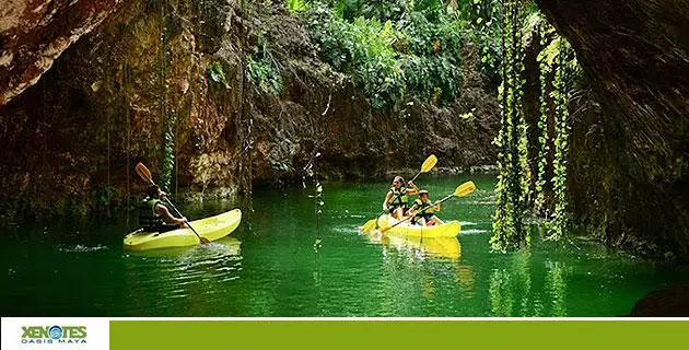 I-Xenotes: i-oasis yamaMaya kwi-Yucatan Peninsula fifu