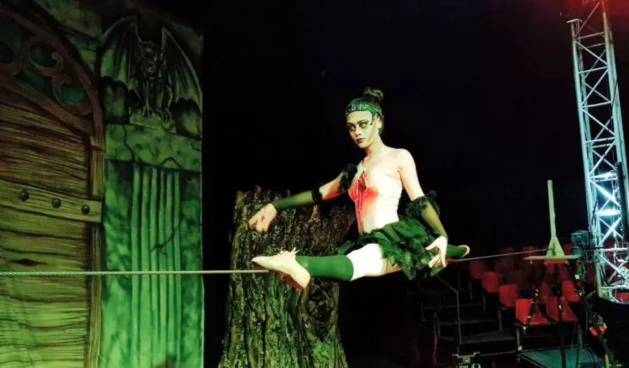 Circus na Tsoro, masu fasaha da acrobats waɗanda ke haifar da mummunan mafarkin ku 33425_6