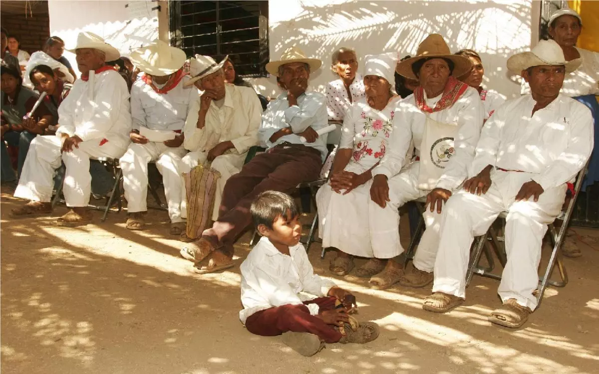 20 popuj dhe grupe indigjene të Meksikës me popullsinë më të madhe 34691_20