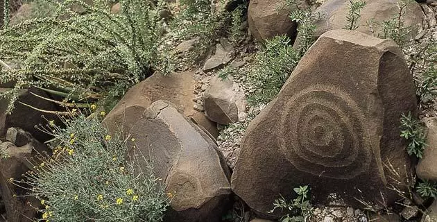 Le lalolagi a'o le'i-Sepanika i Coahuila fifu