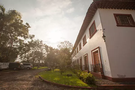 Jiquilpan, de stad Michoacán vol met Jacarandas 37049_4