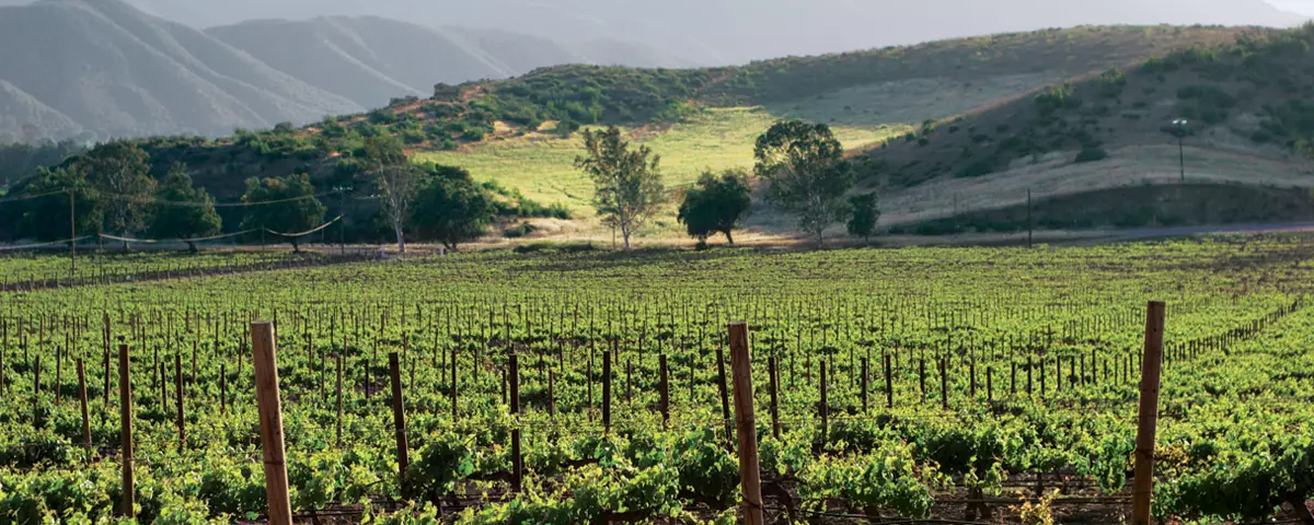 Ruralni turizam: Siñaw Kuatay ekoturistički centar u Baja California fifu