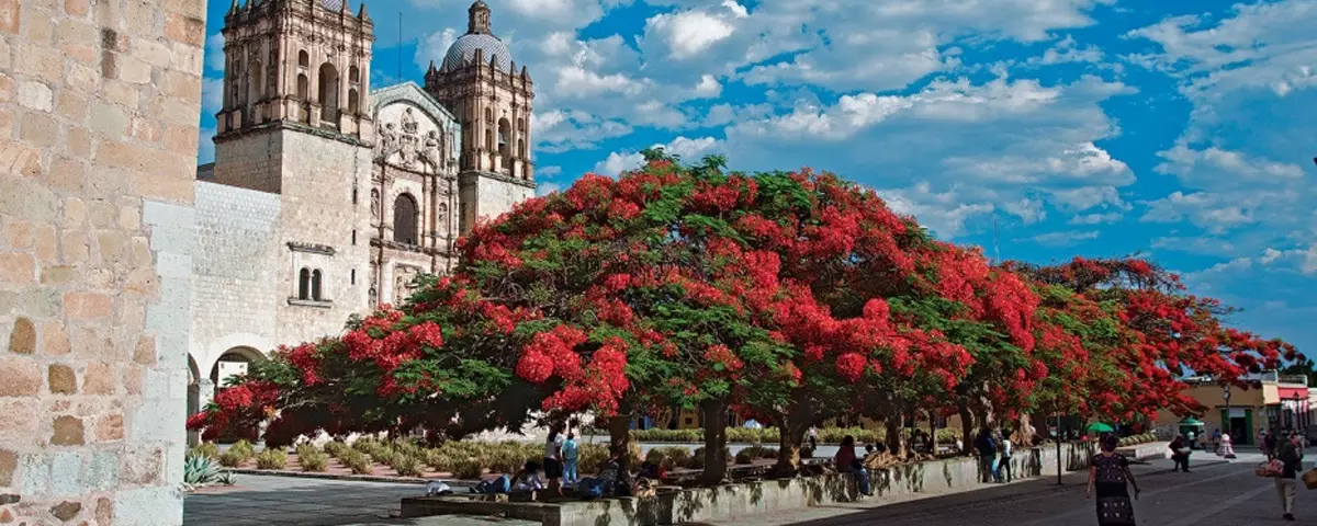 Lukandi u ħostels irħas f'Oaxaca fifu