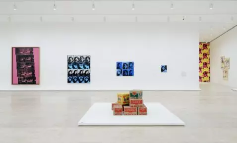 Andy Warholo Dark Star atvyksta į Jumex muziejų 39154_3
