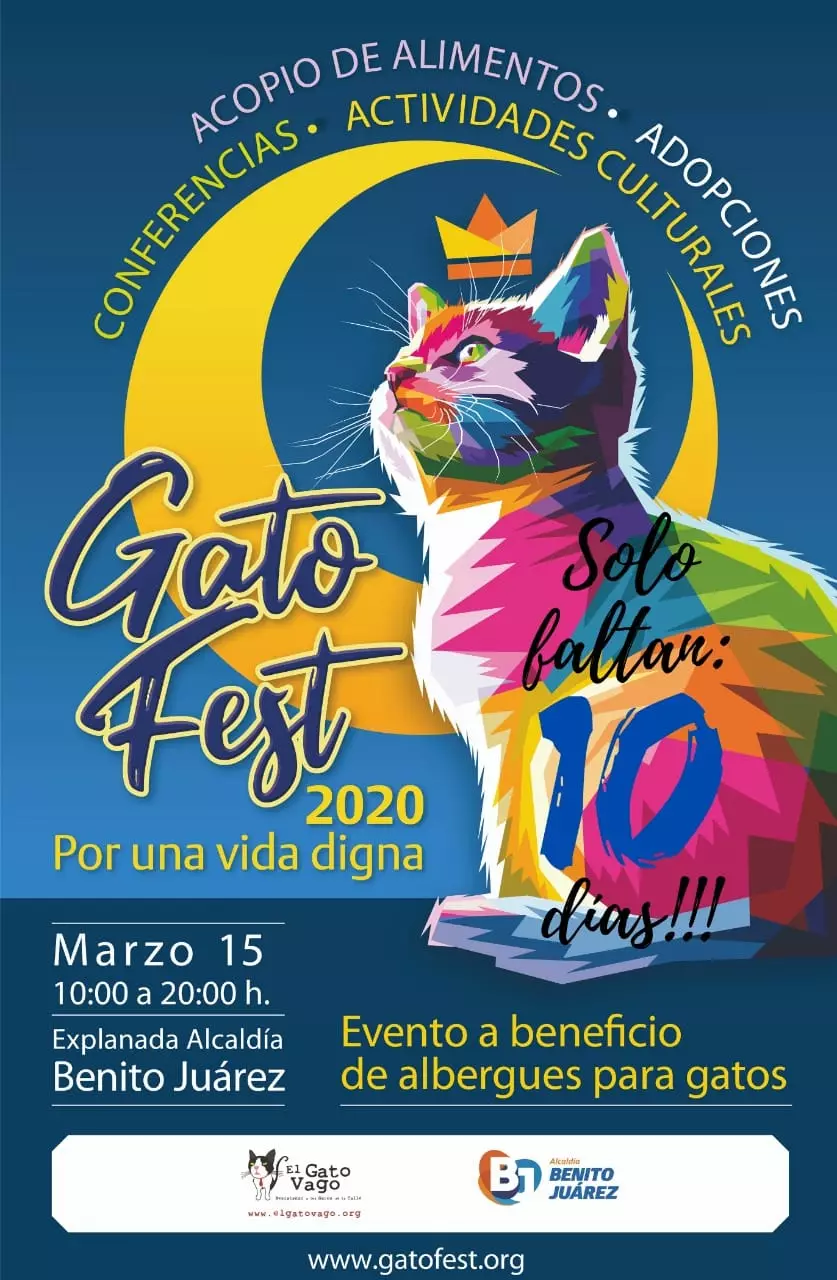 Cat Fest 2020