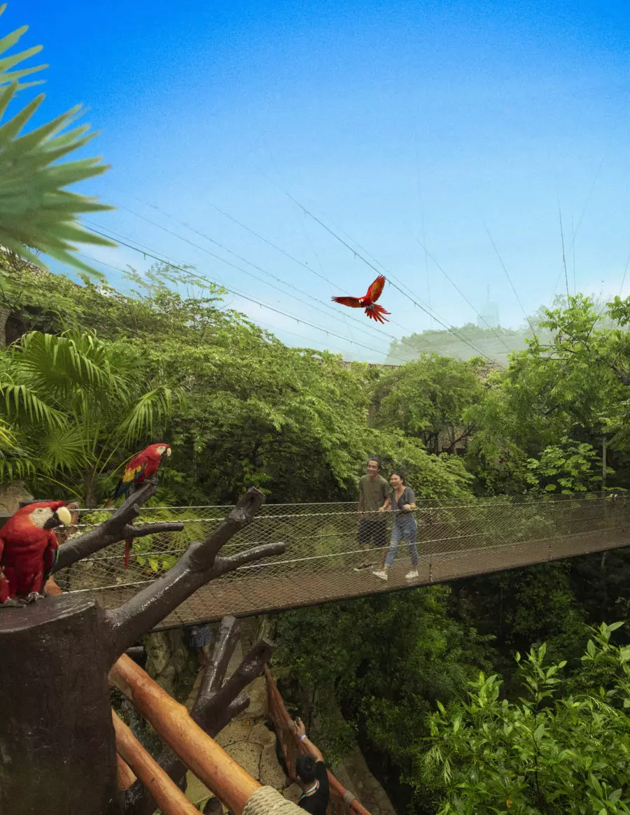 हामीलाई Xcaret macaws मन पर्छ