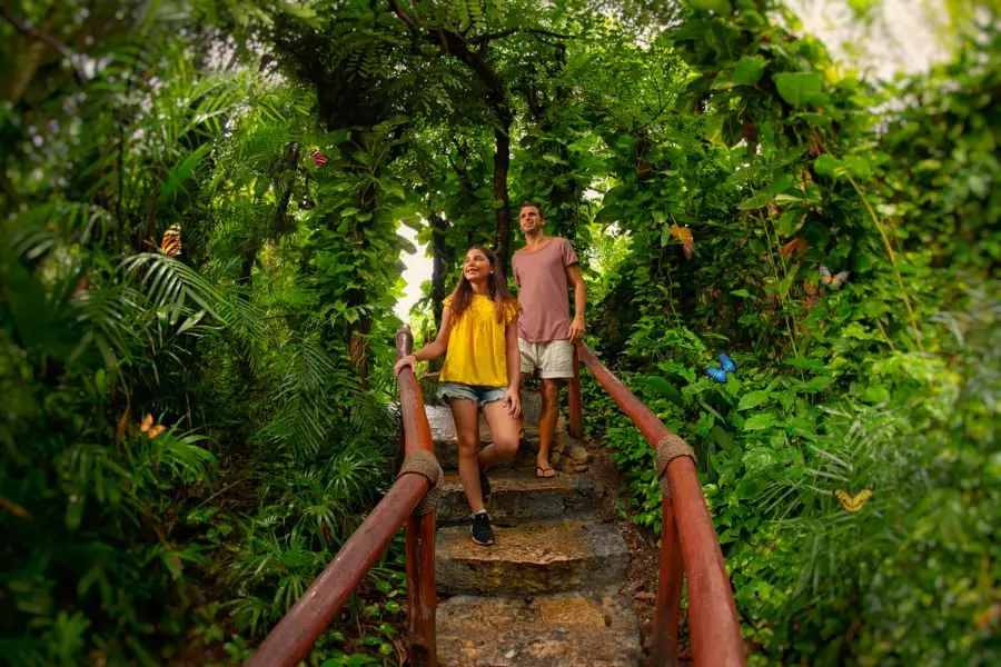 família a xcaret