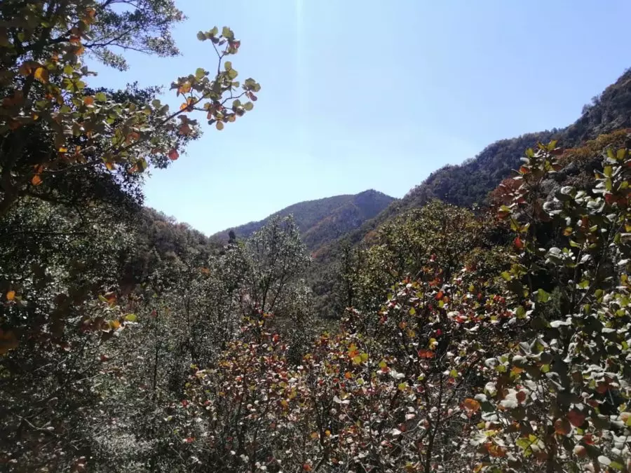 Peralillo et la Sierra de Guanajuato 39337_11