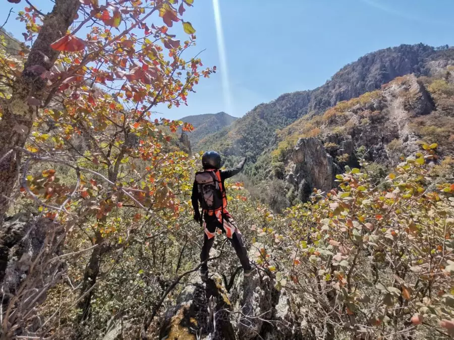 Peralillo kaj la Sierra de Guanajuato 39337_6