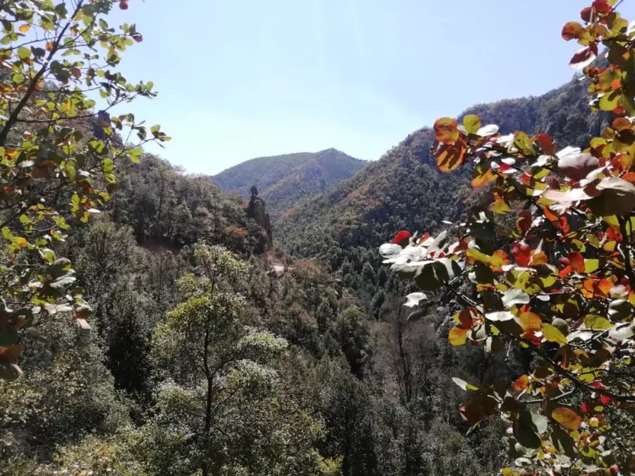 Peralillo kaj la Sierra de Guanajuato 39337_8