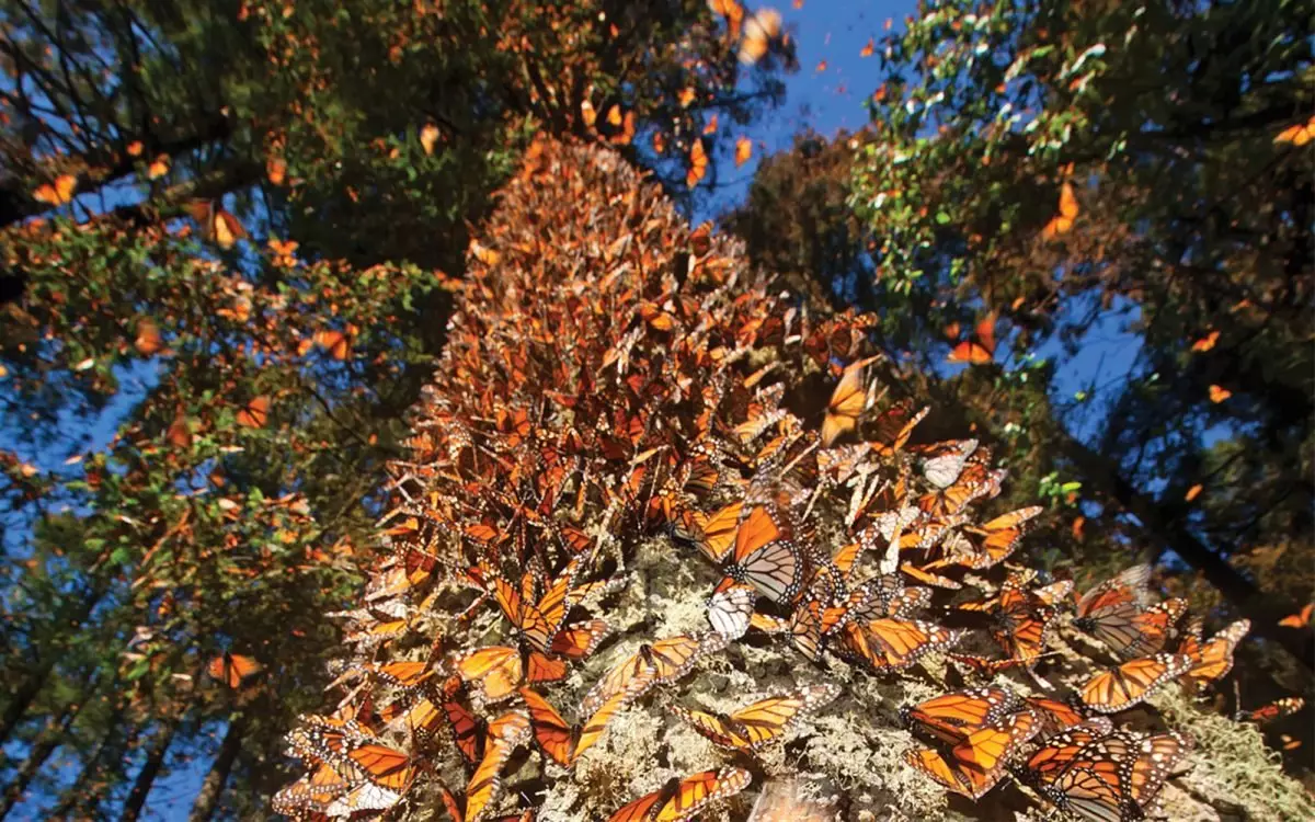 Tūrisma vietas Michoacan