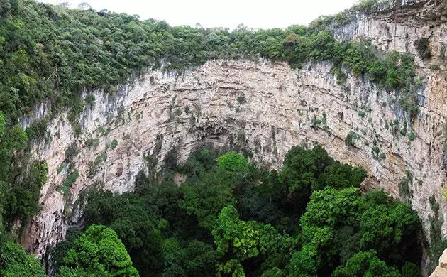 photos-week-caves-abysses-mexico-sima-cotorras-chiapas