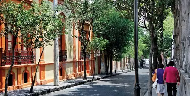 Street-Teaching-National-Tlalpan