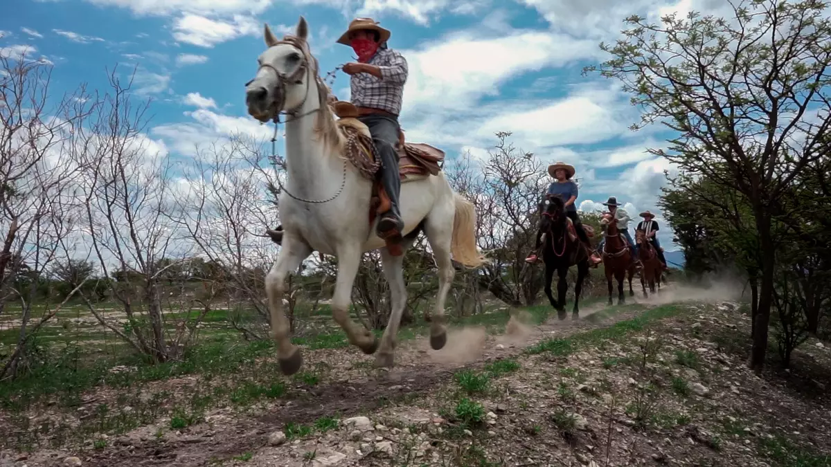 Wat te dwaan yn Guanajuato? 5 orizjinele plannen fol adrenaline 39796_9