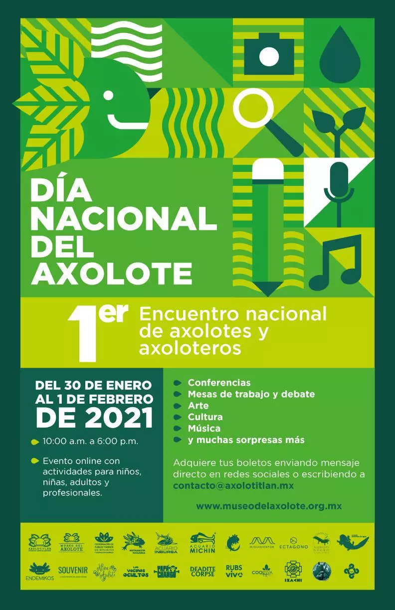 Es commemora el Dia Nacional de l'Ajolote amb jornada virtual, no t'ho perdis! 39821_2