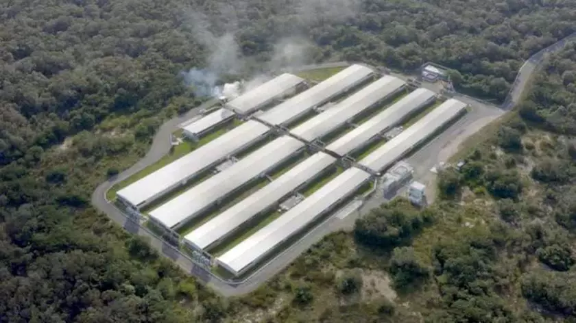 Laguna sewda, id-dokumentarju li juri d-diżastru ekoloġiku tal-farms tal-ħnieżer fi Yucatan