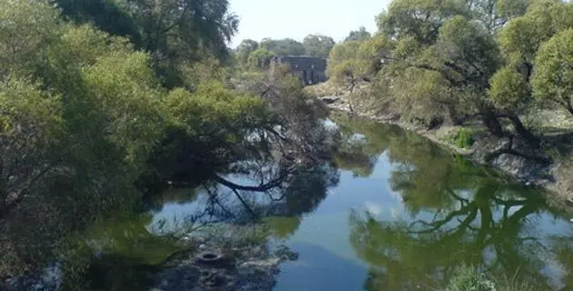 Rio-de-la-Laja havzasi (Guanajuato) fifu